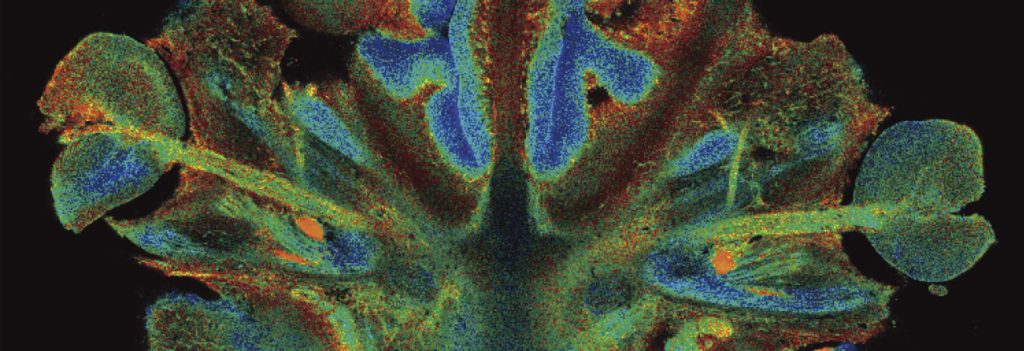 Home - Cell Structure and Function